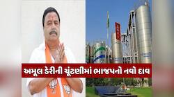 Amul Dairy elections News in Gujarati, Latest Amul Dairy elections news ...