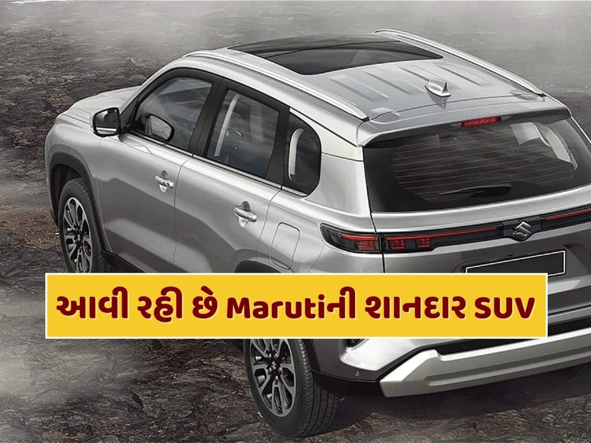 Maruti Suzuki Escudo SUV Launch Date know Price amd features | પૈસા ...