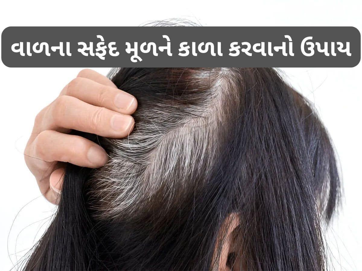 most effective remedy for white hair | how to turn white hair into black again | સફેદ વાળને કાળા ...