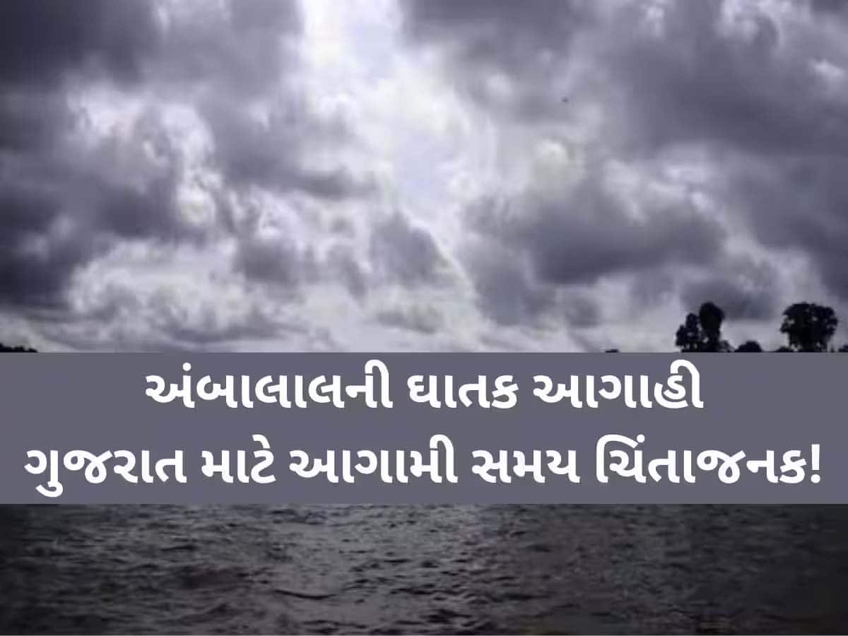 New system active again! Clouds will rain in these districts of Gujarat ...