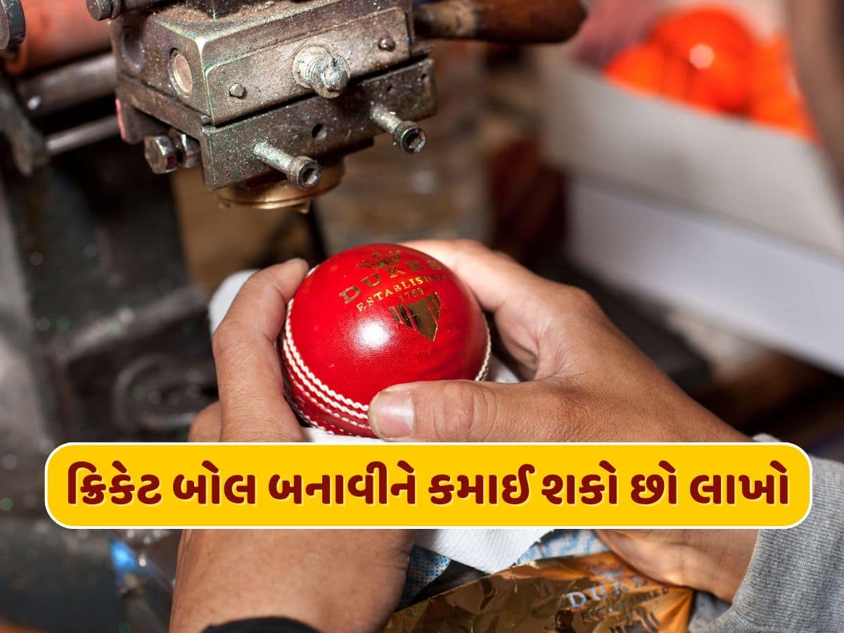 how to start cricket ball manufacturing business in india know the full ...