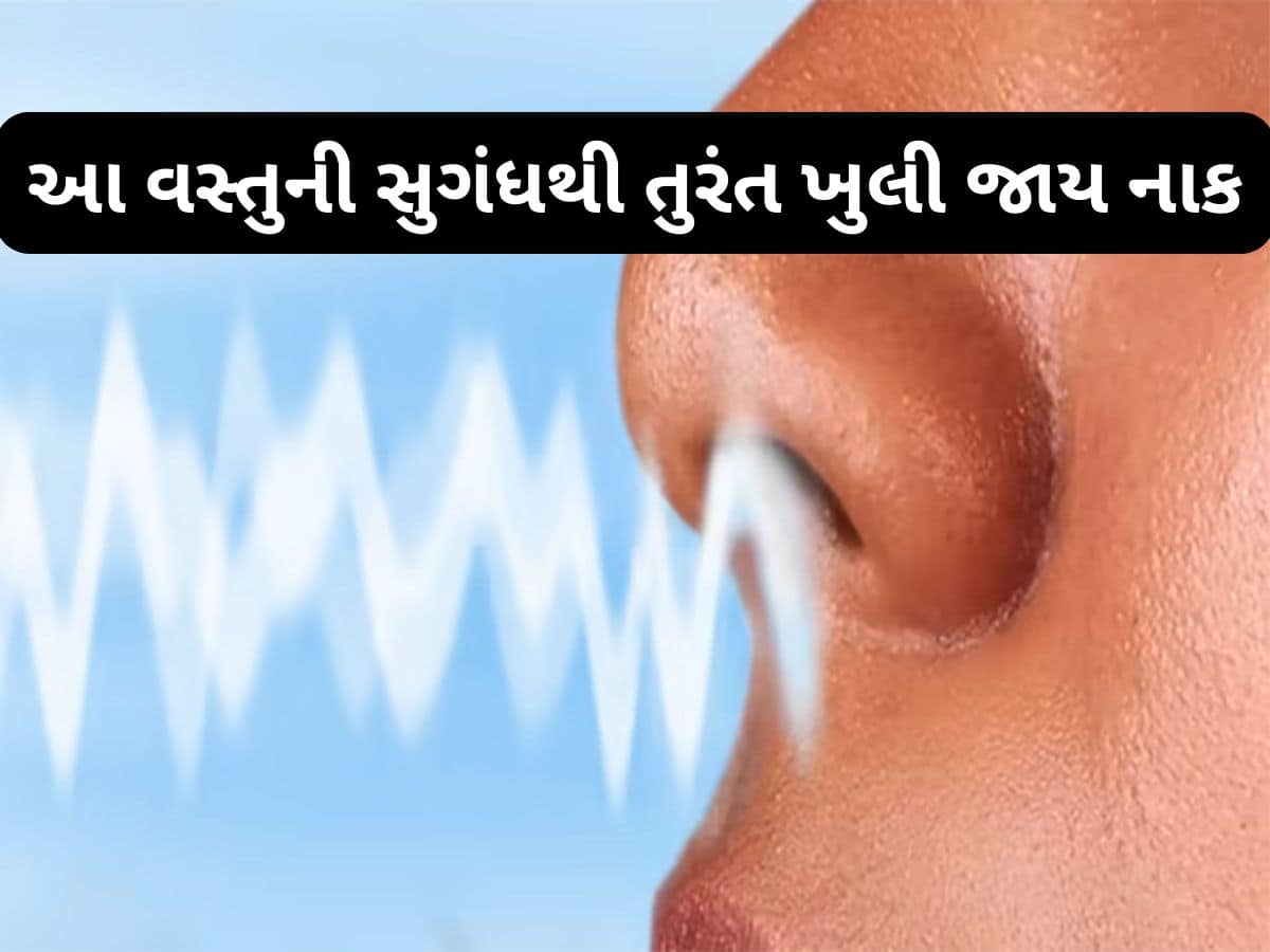Remedies For Blocked Nose | how to open blocked nose | કઈ વસ્તુઓ ...