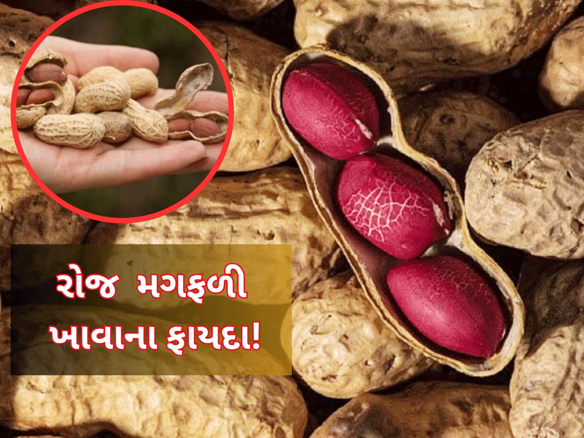 peanut benefits magfali khava na fayda | રોજ મગફળી ખાવાથી કઈ બીમારી દૂર ...
