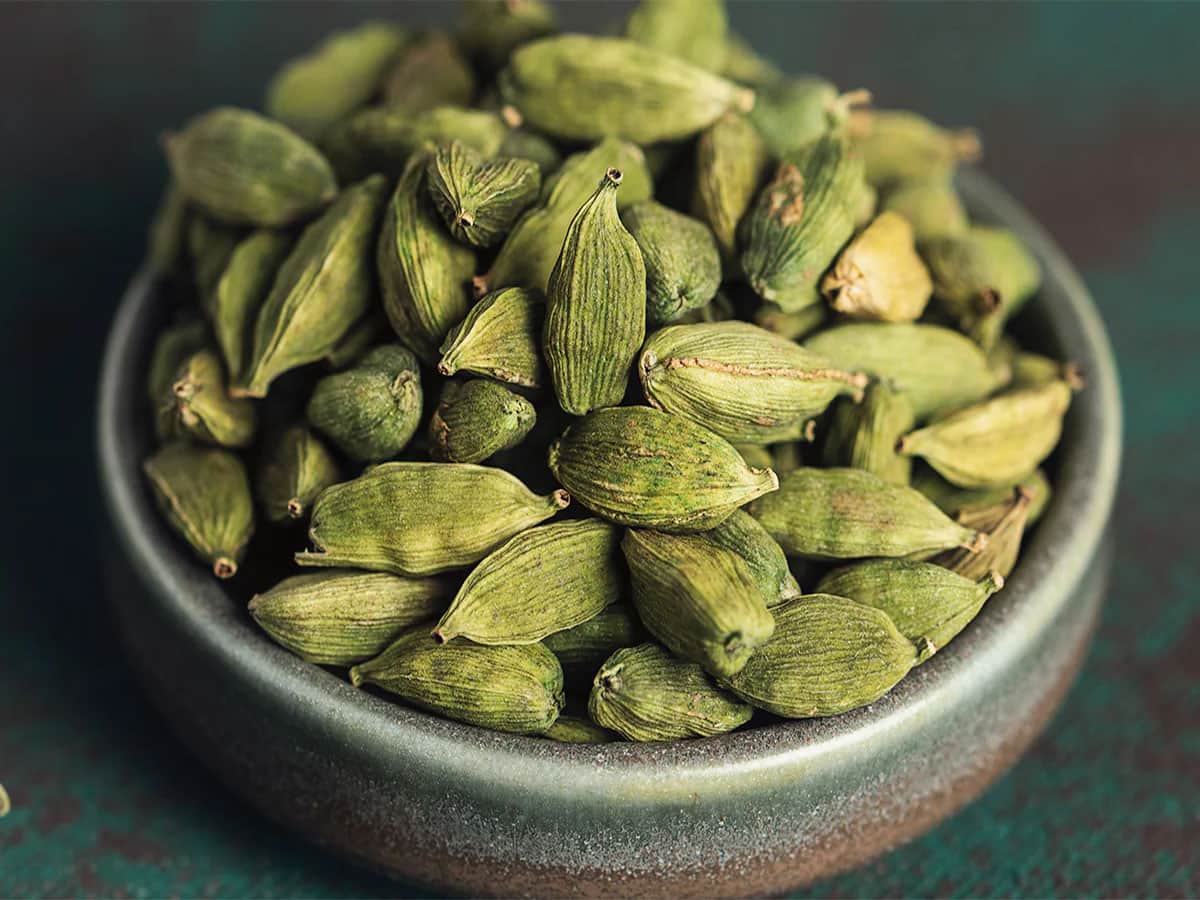 Cardamom Uses and Benefits | elaichi khane ke fayde | એલચી ખાવાના ફાયદા