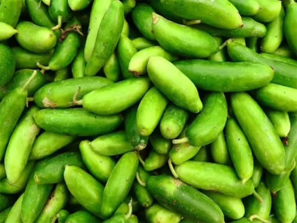 Ivy Gourd Benefits | tendli ke fayde | Tindora nu shak | ટિંડોળી ખાવાથી ...