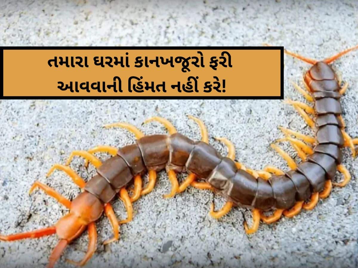 How can I stop the centipedes from coming into my house, flopping on ...