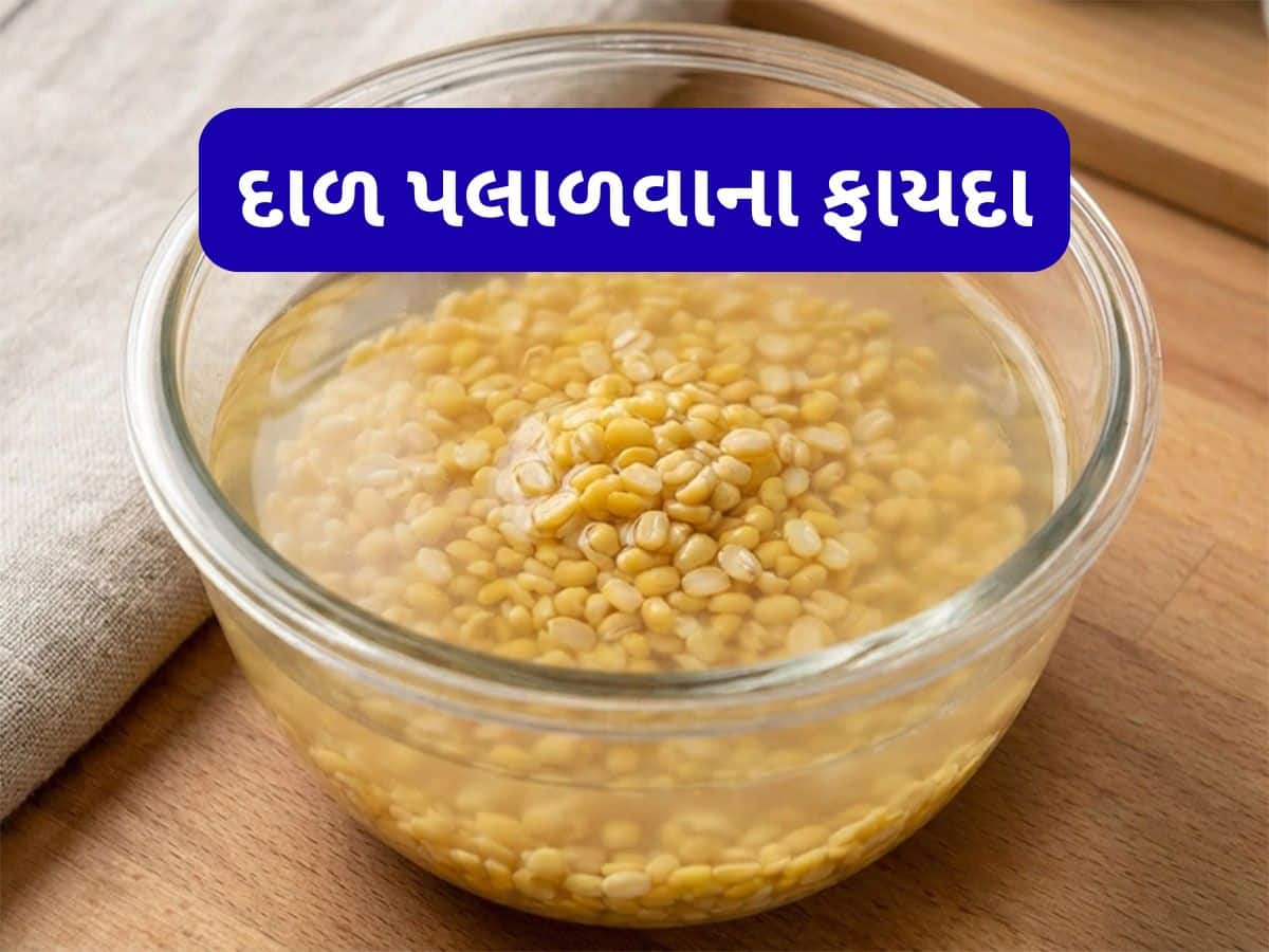 Dal Soaking Benefits | soaking dal before cooking | why it is important ...