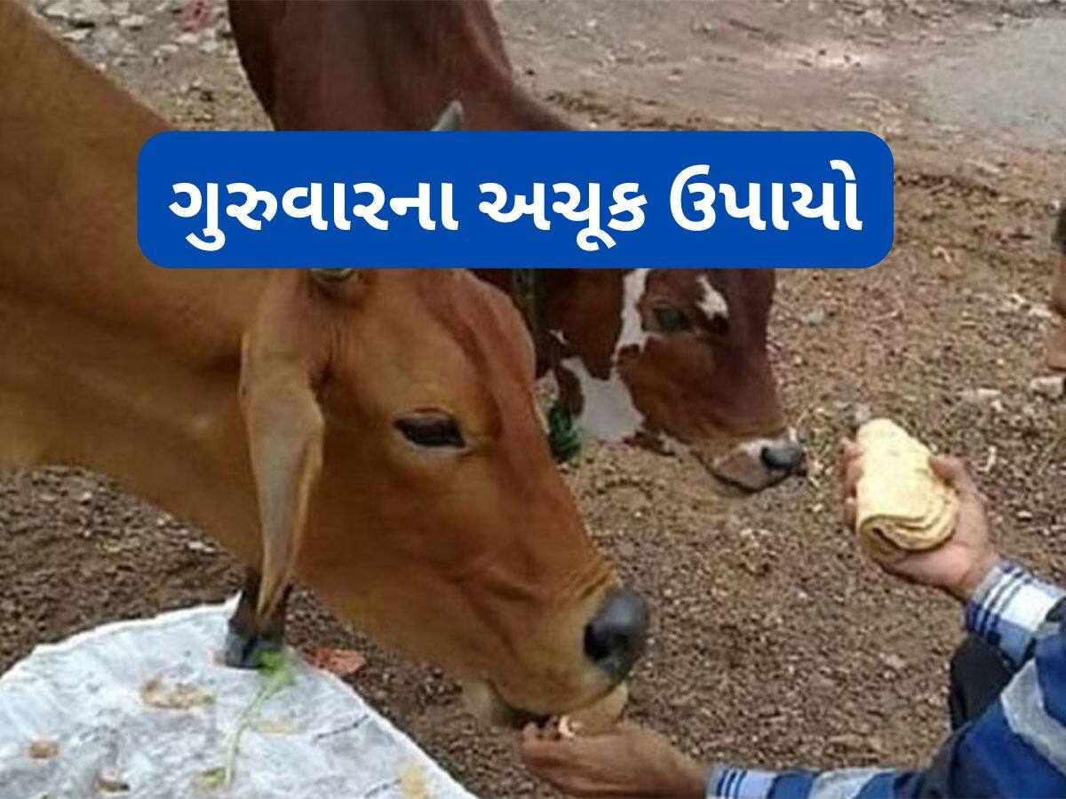 Guruwar ke Upay | Thursday astrology remedies | ગુરુવારે કરવાના 7 શુભ કામ