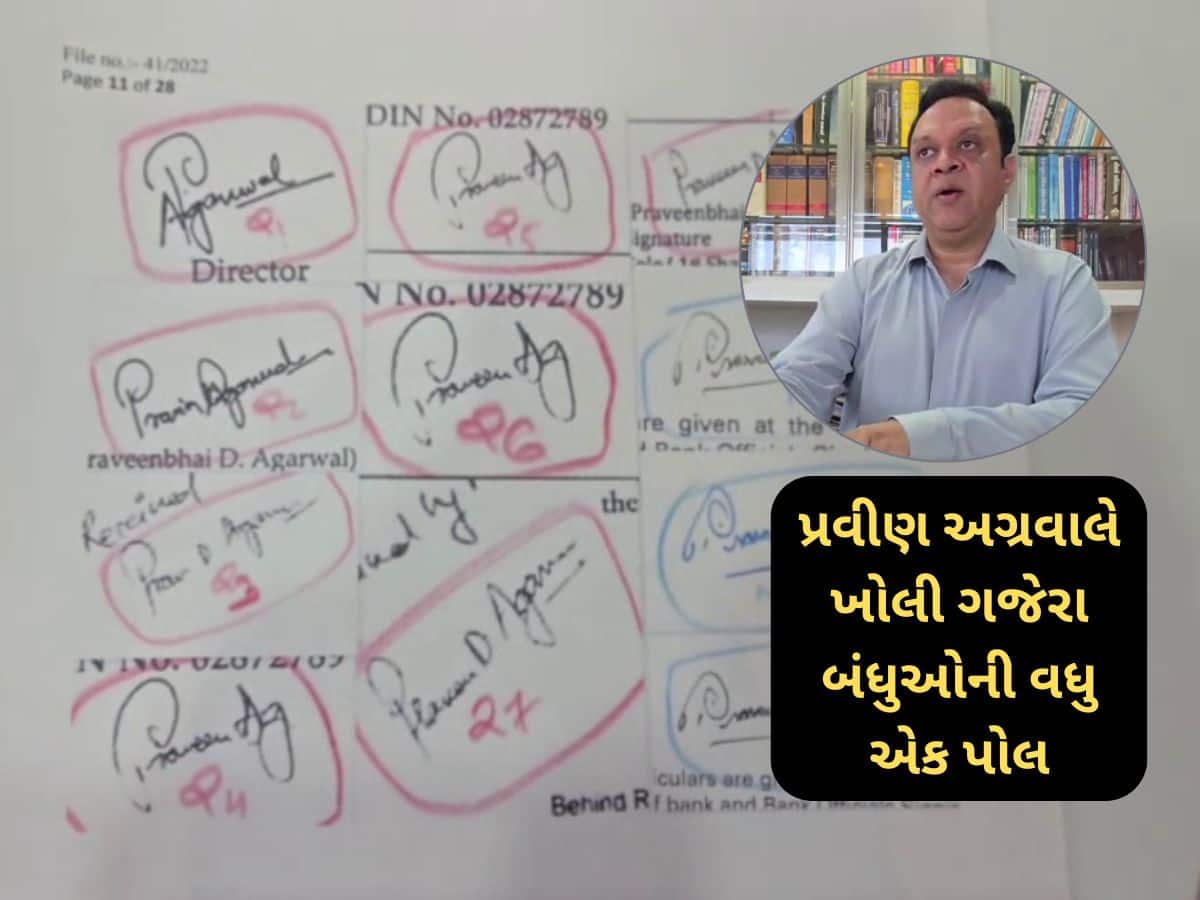 ગજેરા બંધુઓ સામે 1928 કરોડના મહાકૌભાંડનો ધડાકો : 43% ભાગીદારી હડપવાનો ...