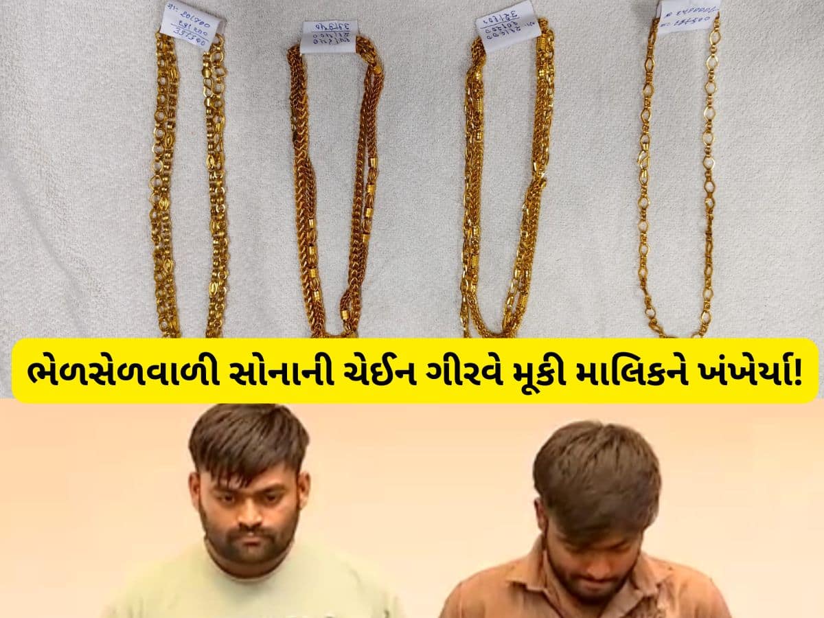 જેનું ખાધું તેનું જ ખોદ્યું! અમદાવાદમાં વિશ્વાસુ નોકરે જ્વેલર્સને ...