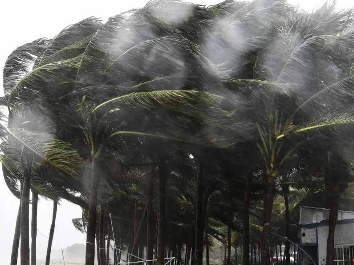 Cyclone Horacio intensifies to first category 5 storm of 2026, Will it ...