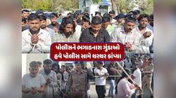Patan news News in Gujarati, Latest Patan news news, photos, videos ...
