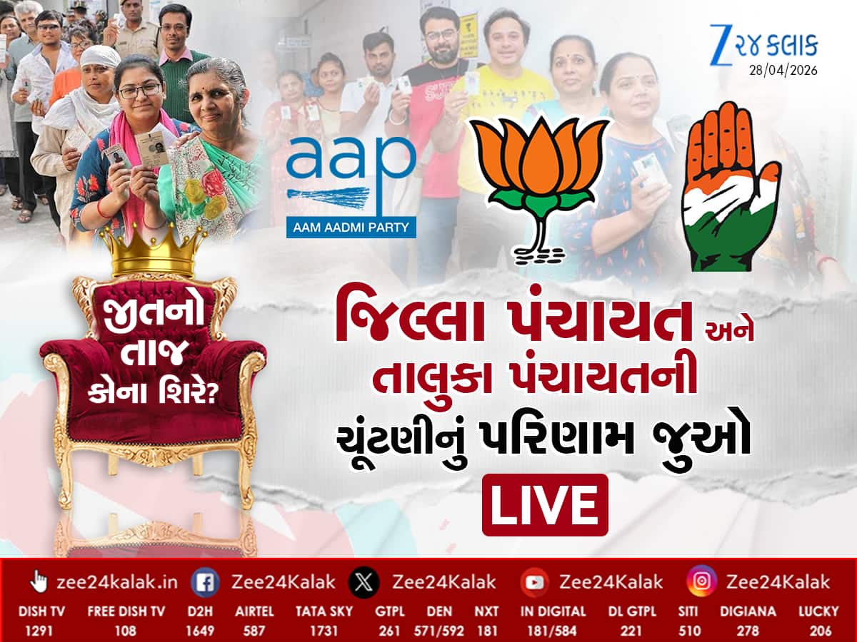 Taluka Panchayat Election 2026 Result Live: 260 તાલુકા અને 34 જિલ્લા ...