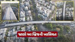 Rajkot Sandhiya Pul News in Gujarati, Latest Rajkot Sandhiya Pul news ...