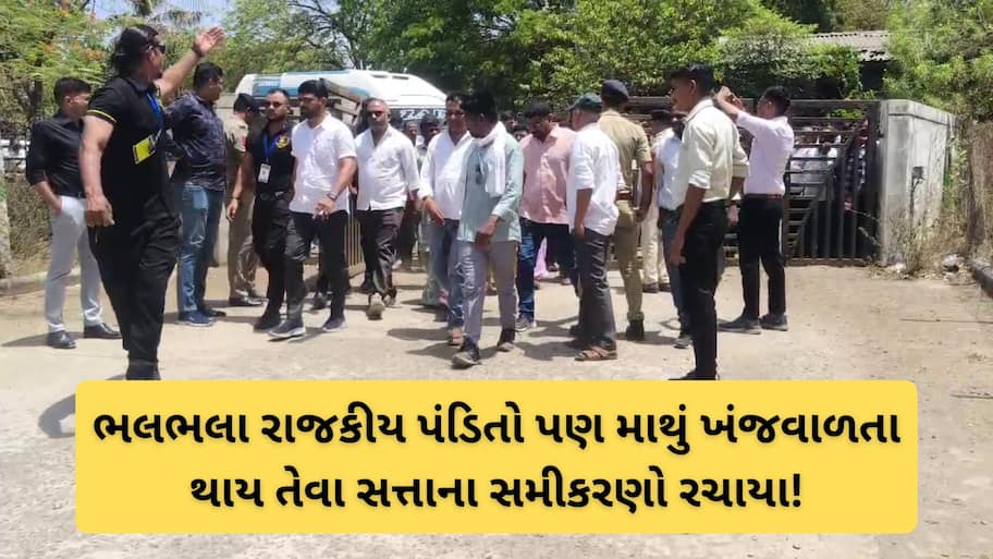 gujarat taluka panchayat election results inside story for power game ...