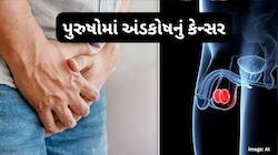 Testicular Cancer News in Gujarati, Latest Testicular Cancer news ...