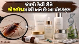 Maramari News in Gujarati, Latest Maramari news, photos, videos | Zee ...
