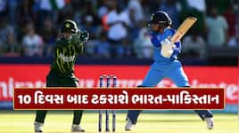 Talala Kesar Mango News in Gujarati, Latest Talala Kesar Mango news ...