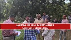 plucking mangoes News in Gujarati, Latest plucking mangoes news, photos ...