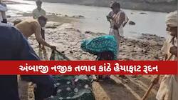 Ambaji News in Gujarati, Latest Ambaji news, photos, videos | Zee News ...