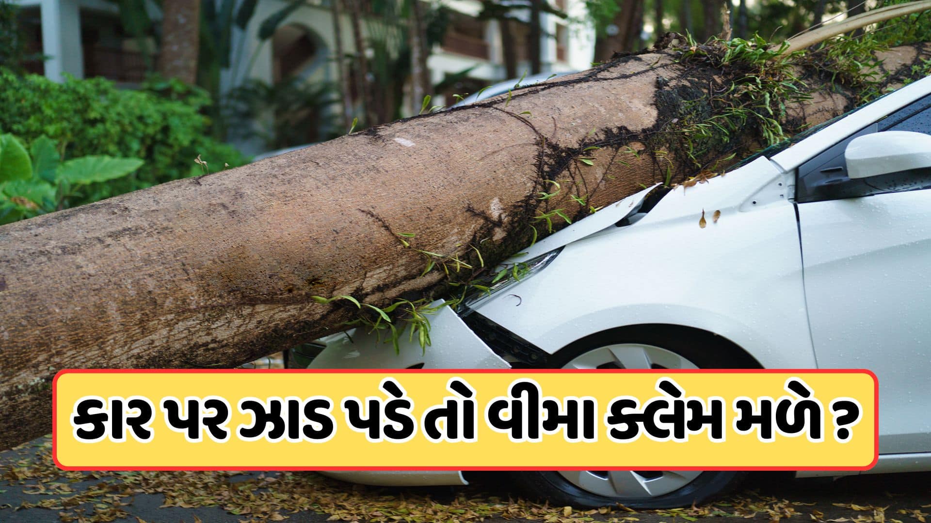 Will you get an insurance claim if your car is damaged due to a storm ...