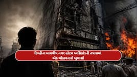 Lal Pari News in Gujarati, Latest Lal Pari news, photos, videos | Zee ...