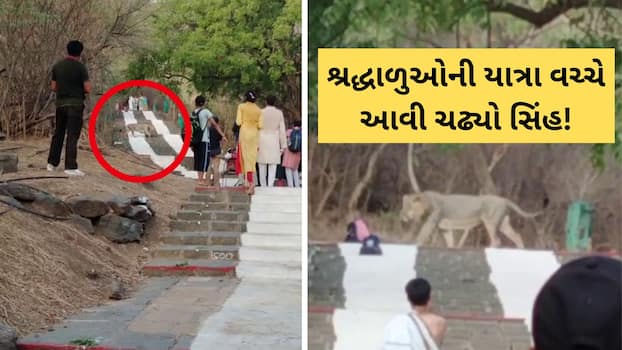 Bhavnagar News in Gujarati, Latest Bhavnagar news, photos, videos | Zee ...