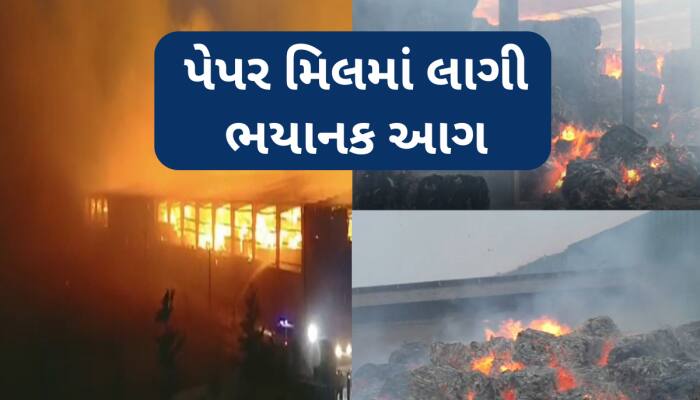halvad news News in Gujarati, Latest halvad news news, photos, videos ...